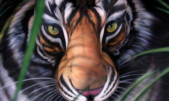 Optical Illusions: Tiger Illustration