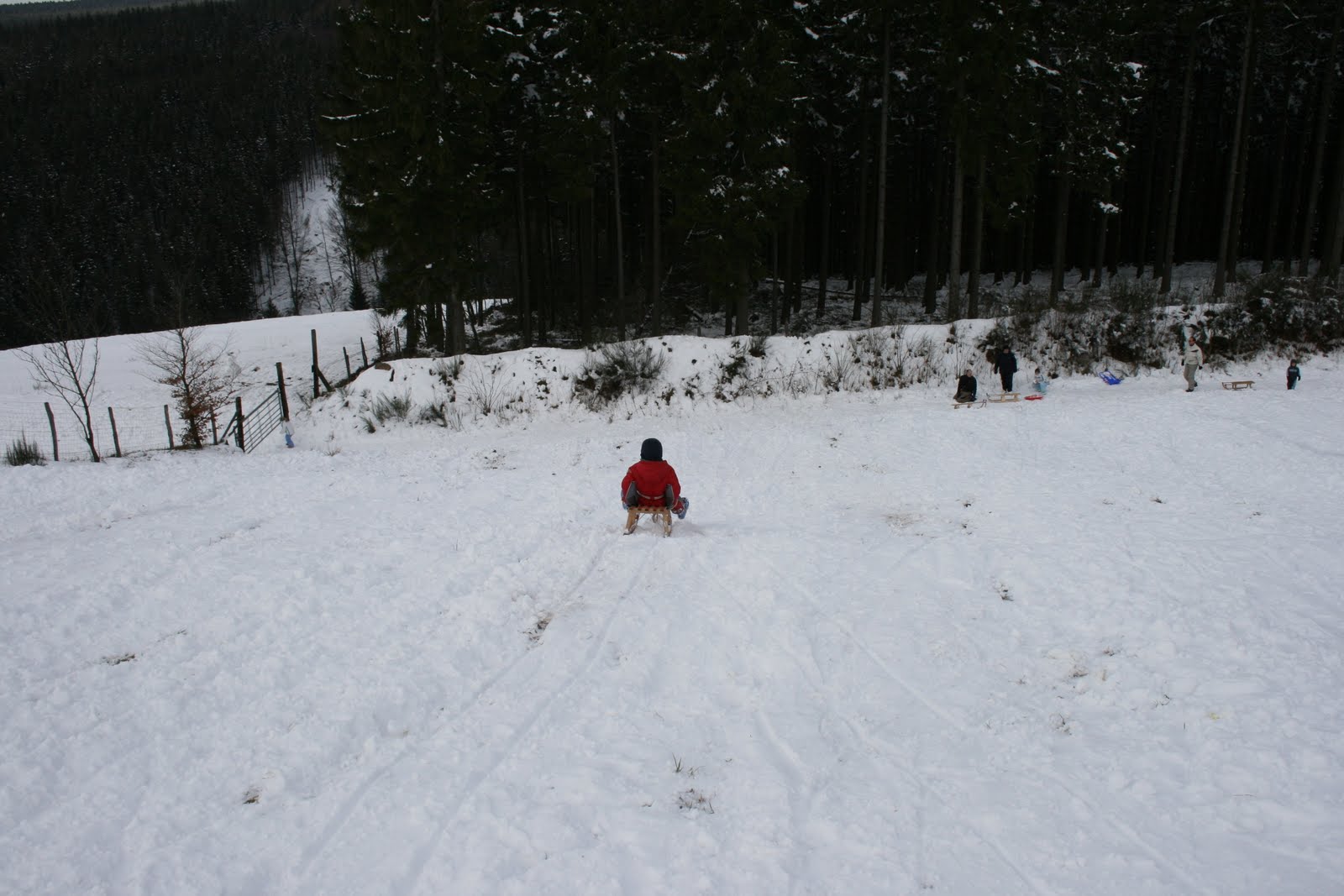 Ardennen Foto' s: Ovifat skipistes
