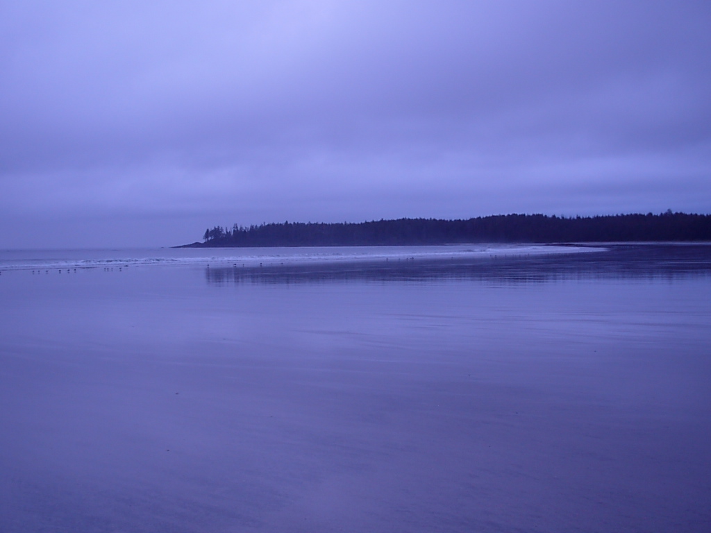 the NILE file: Cape Scott Day 3 - the Light Station