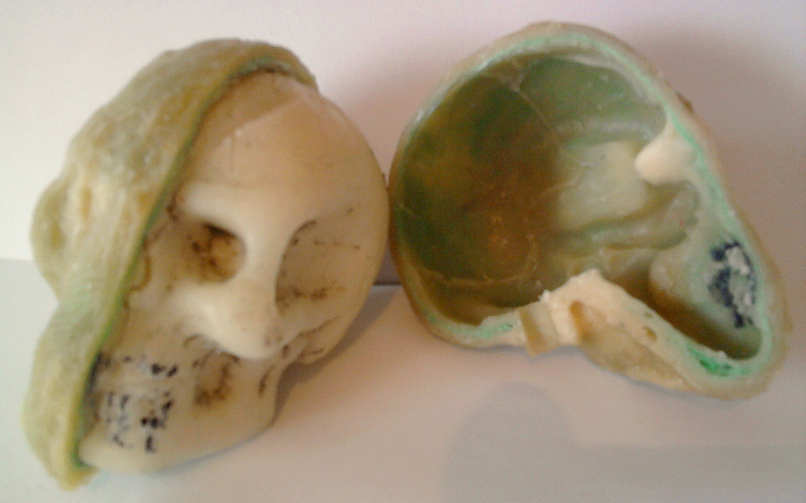 Darkside Creations: MAKING SKULLS USING MOULDING LATEX