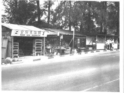 Street Life Jalan Kayu 1950s