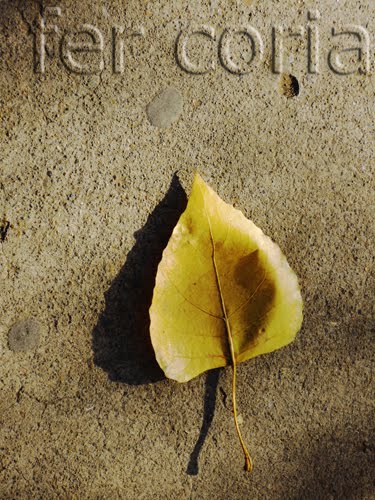 FERNANDA CORIA IMÁGENES