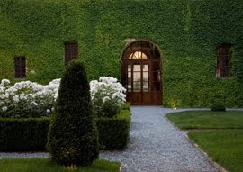 Holy Ground: LUCEDIO MONASTERY