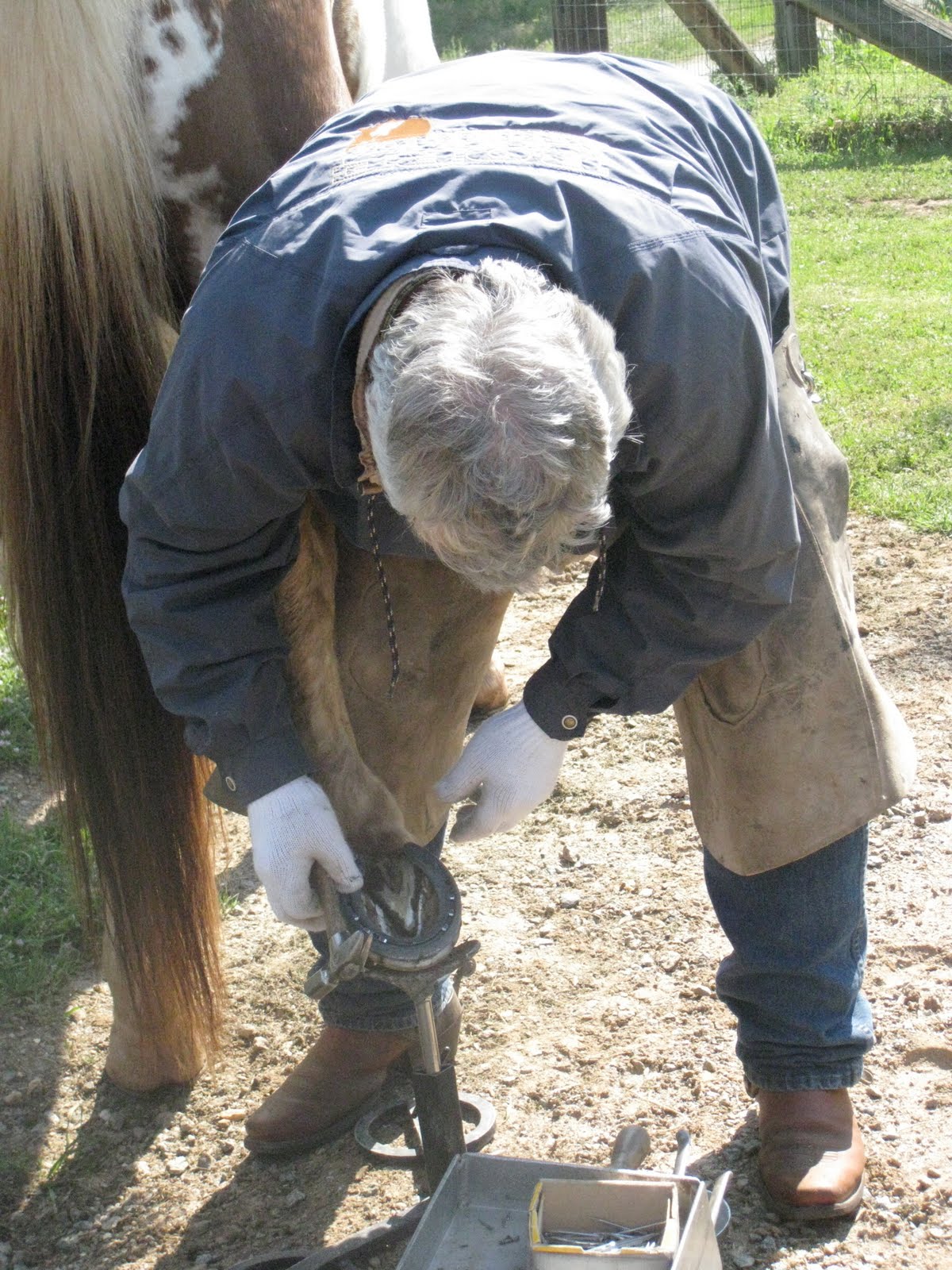 Equestrian Riders: Ferrier