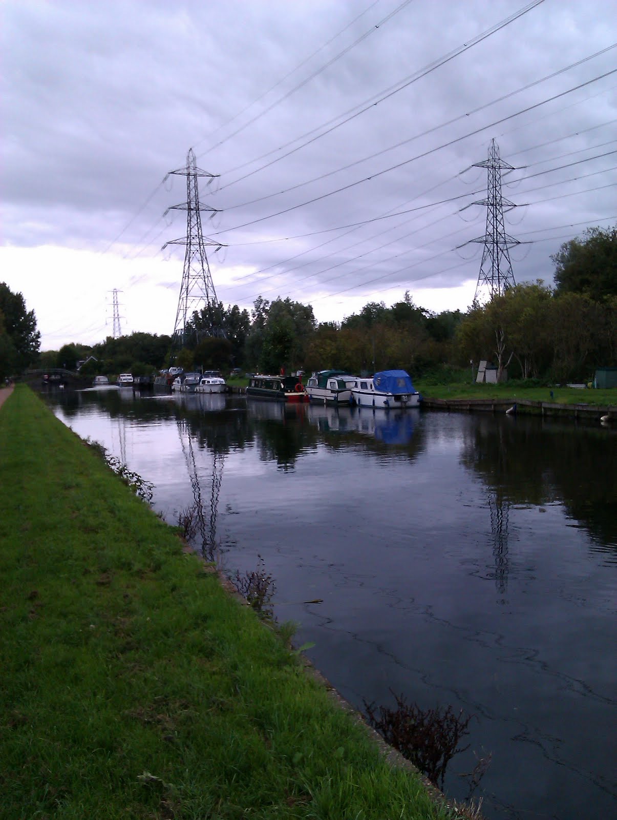 leave before the lights come on: Epping Forest bike ride!