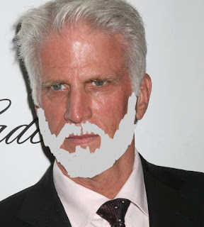 The Four Beardos: Shoulda Had A Beard Series