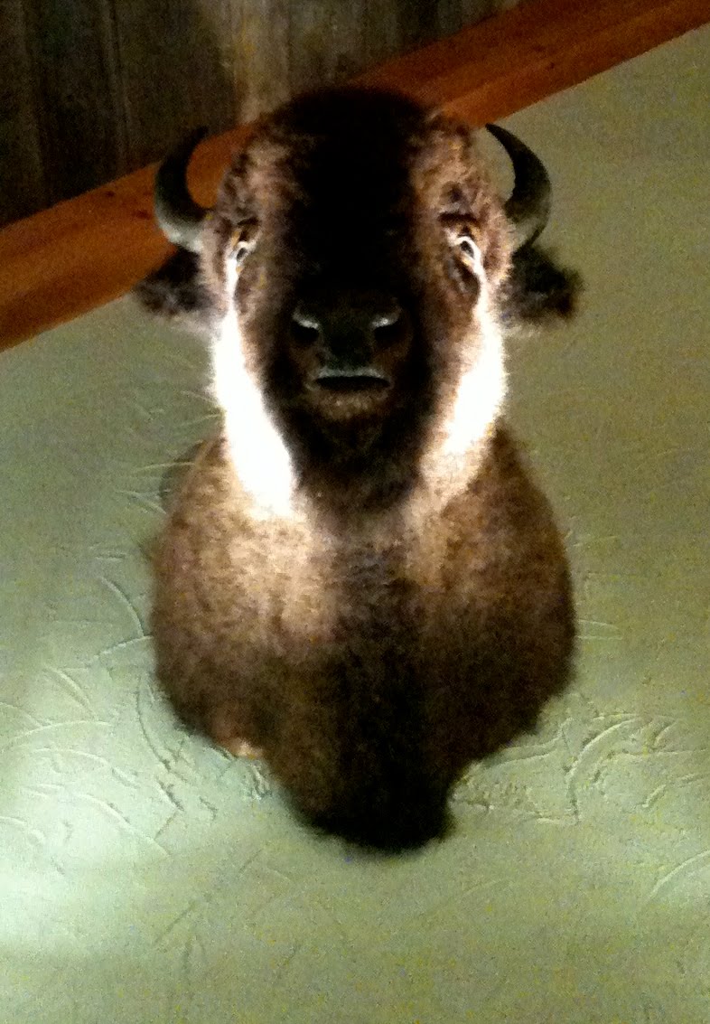 Pocketful of Ginch: Random Scary Images