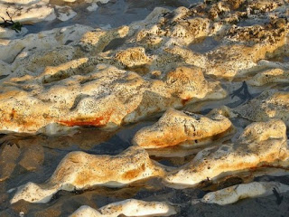 Renewable and Sustainable Information Center: World's Largest Chalk ...