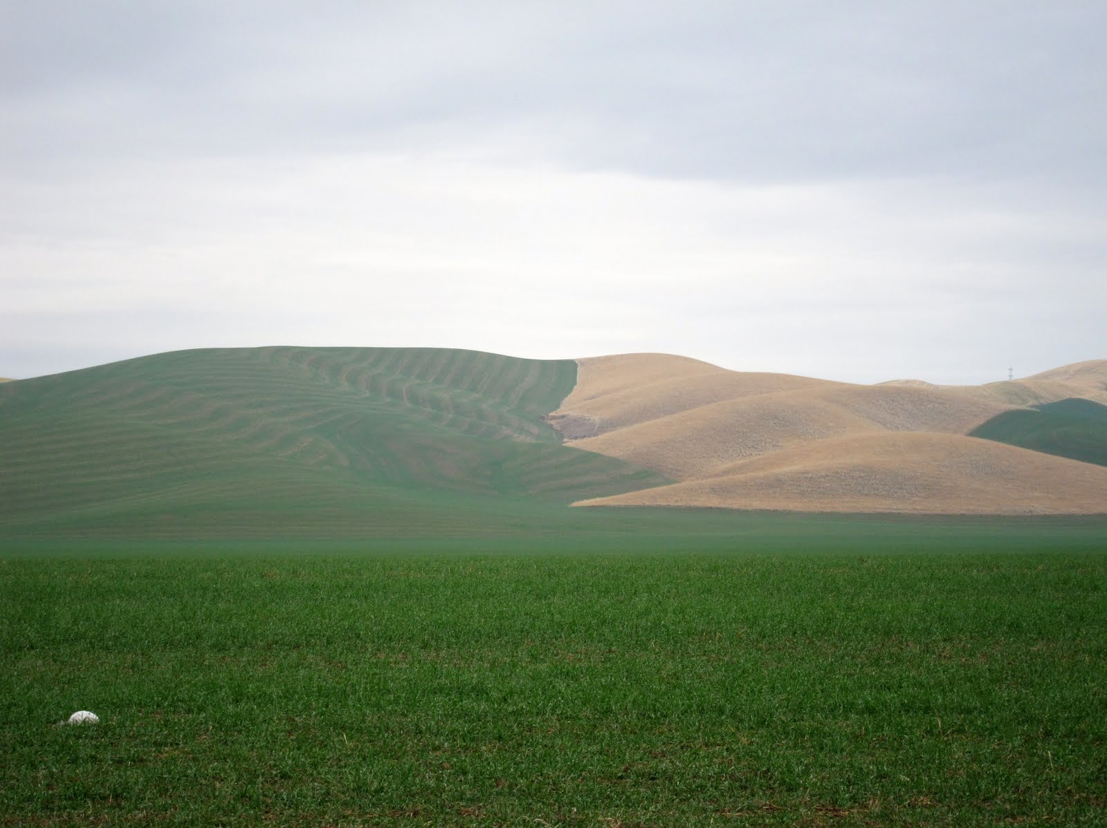 Pacific Northwest Seasons: Northwest Fall Road Trip: Scenic Southeast ...