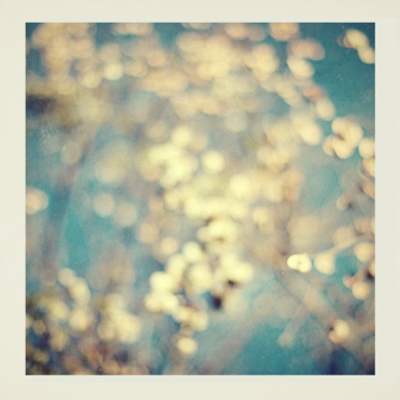 Blurry things – 79 ideas