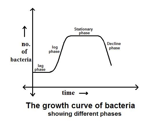 Principle Microbiology: The bacterial growth curve