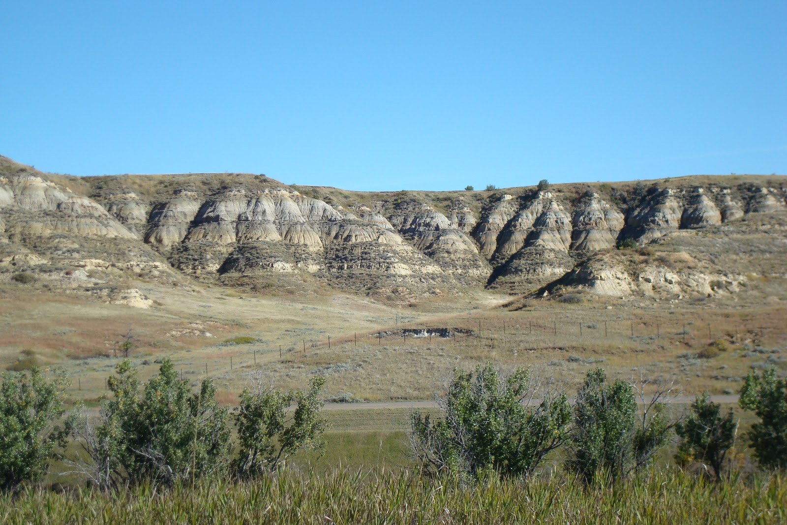 Green Blazing: Theodore Roosevelt National Park, North Dakota