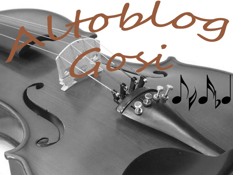 Altoblog Gosi: Czym jest altówka?