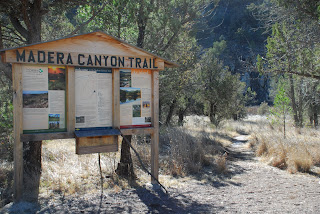 Texas Mountain Trail Daily Photo: Madera Canyon Trail