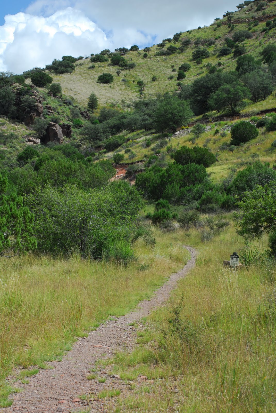 Texas Mountain Trail Daily Photo: More views from Davis Mountains State ...