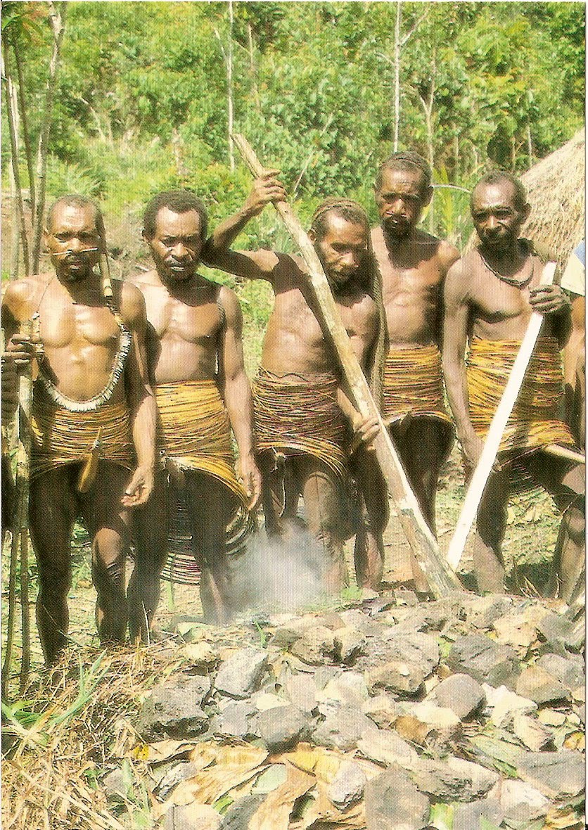 KUALA SKYLAB: INDONESIA POSTCARD. IRIAN JAYA. YALI PEOPLE PREPARING ...