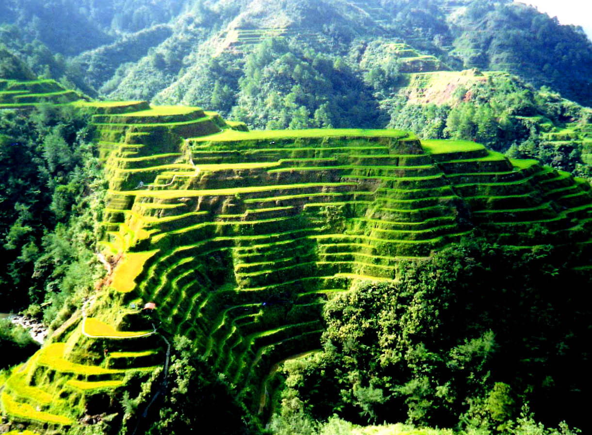 KUALA SKYLAB: PHILIPPINES PHOTO. RICE FIELDS TERRACES. IFUGAO PROVINCE.