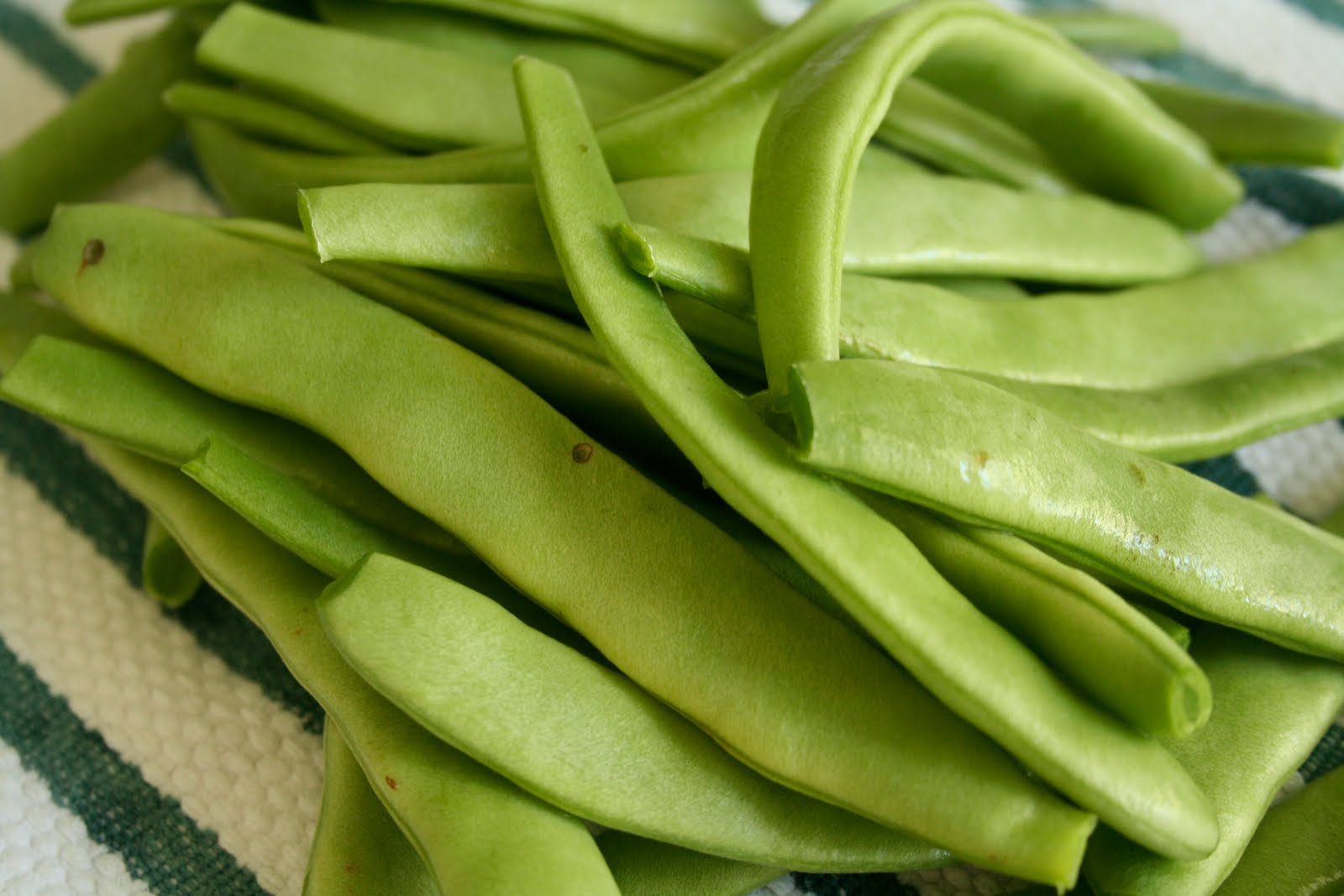 flat green beans name