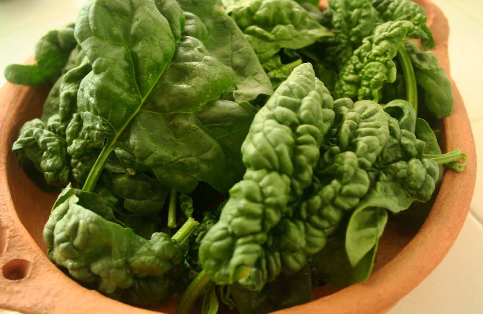 To Market, To Market with San Diego Foodstuff: Fall Fest -- Finally ...