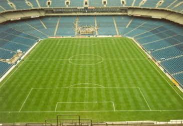 Photo: There's Grass In Ford Field - Pride Of Detroit