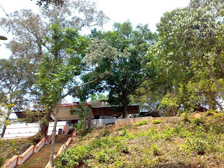 Kallil Cave Temple: Kallil Cave Temple, Perumbavoor, KERALA