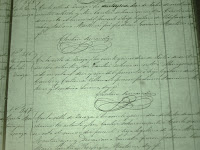 Tex-Mex Roots: Cantu Family Tree