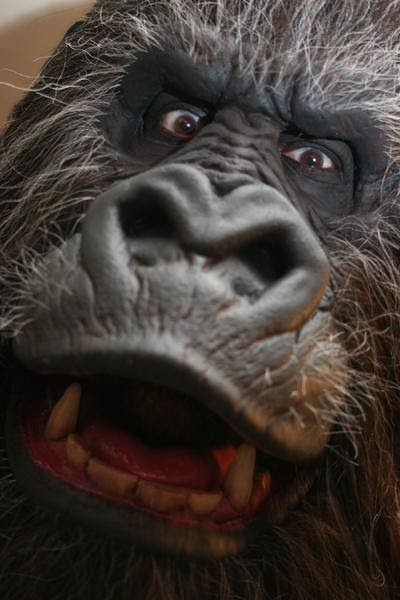 Hollywood Gorilla Men: A CONVERSATION WITH A MODERN GORILLA MAN, STEVE ...