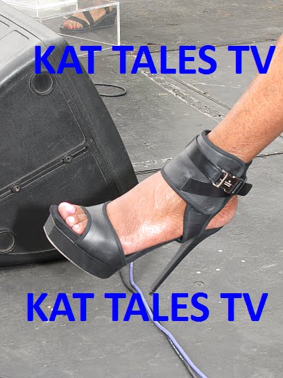 KAT TALES TV Blog: NeNe Leakes At the Leimert Park Book Fair: Never ...