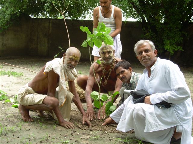 Braj Vrindavan Heritage Alliance: Tree Planting in Vrindavan