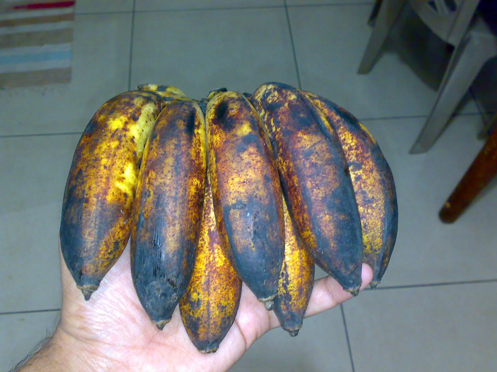 The chow devotee from south: Nanjangud Rasabaale – A unique variety of ...