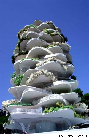 Cactus Architecture!?