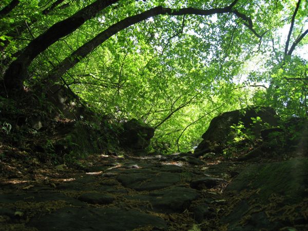 ALP-TRÄUME Südtirol: Von Vilpian nach Mölten