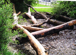 Hastings School Playground Design: Logs for climbing