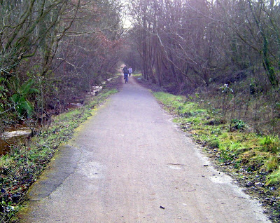 The City With A View: Clyne Valley Cycle Track