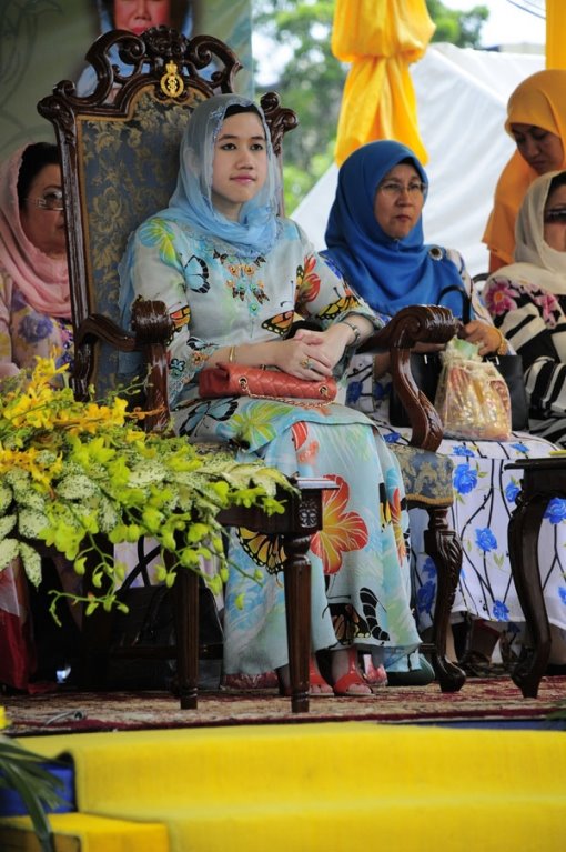 malaysian hijab blog: Beautiful muslim princess all over the world