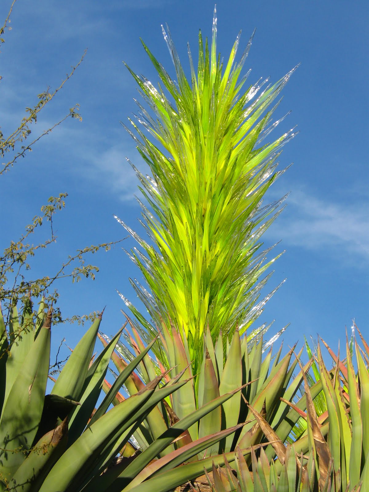 Scottsdale Daily Photo: Photo: Chihuly Cactus Tower