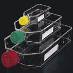 Picture 1: T25, T75 and T175 Tissue culture flask, Taken from www ...