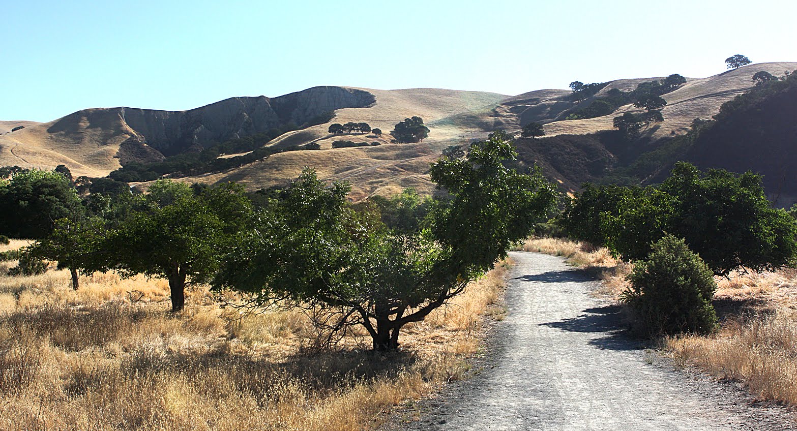 Snapshots: Shoreline