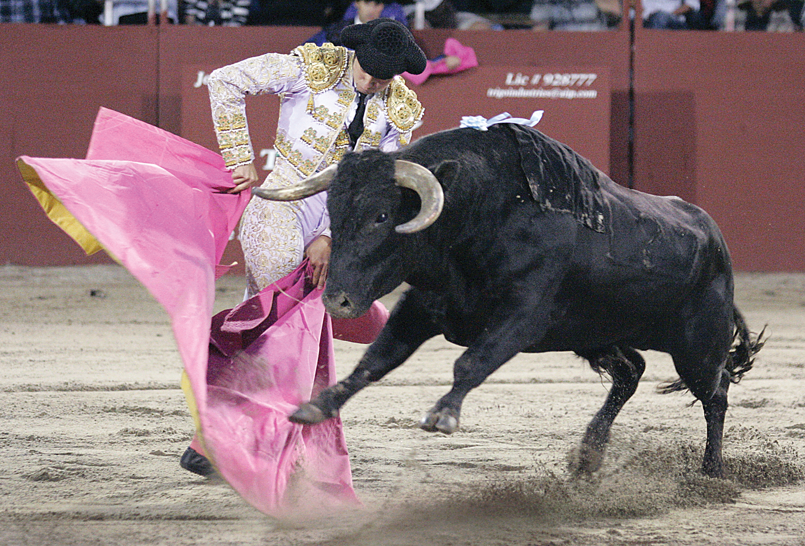 Snapshots: The Year In Review; "Olé!"