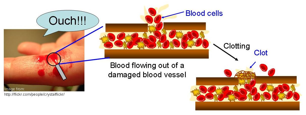 The Postdoc Times: November 2010