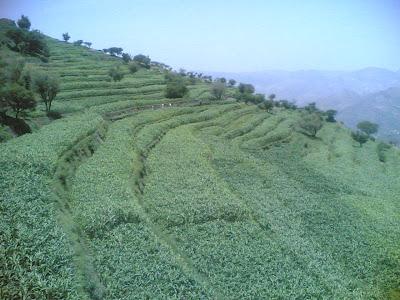 Puran Shangla NWFP Pakistan