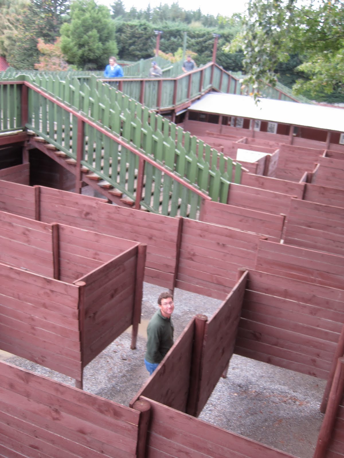 Williams Family Adventure: Warbirds Over Wanaka/Puzzling World/Natl ...