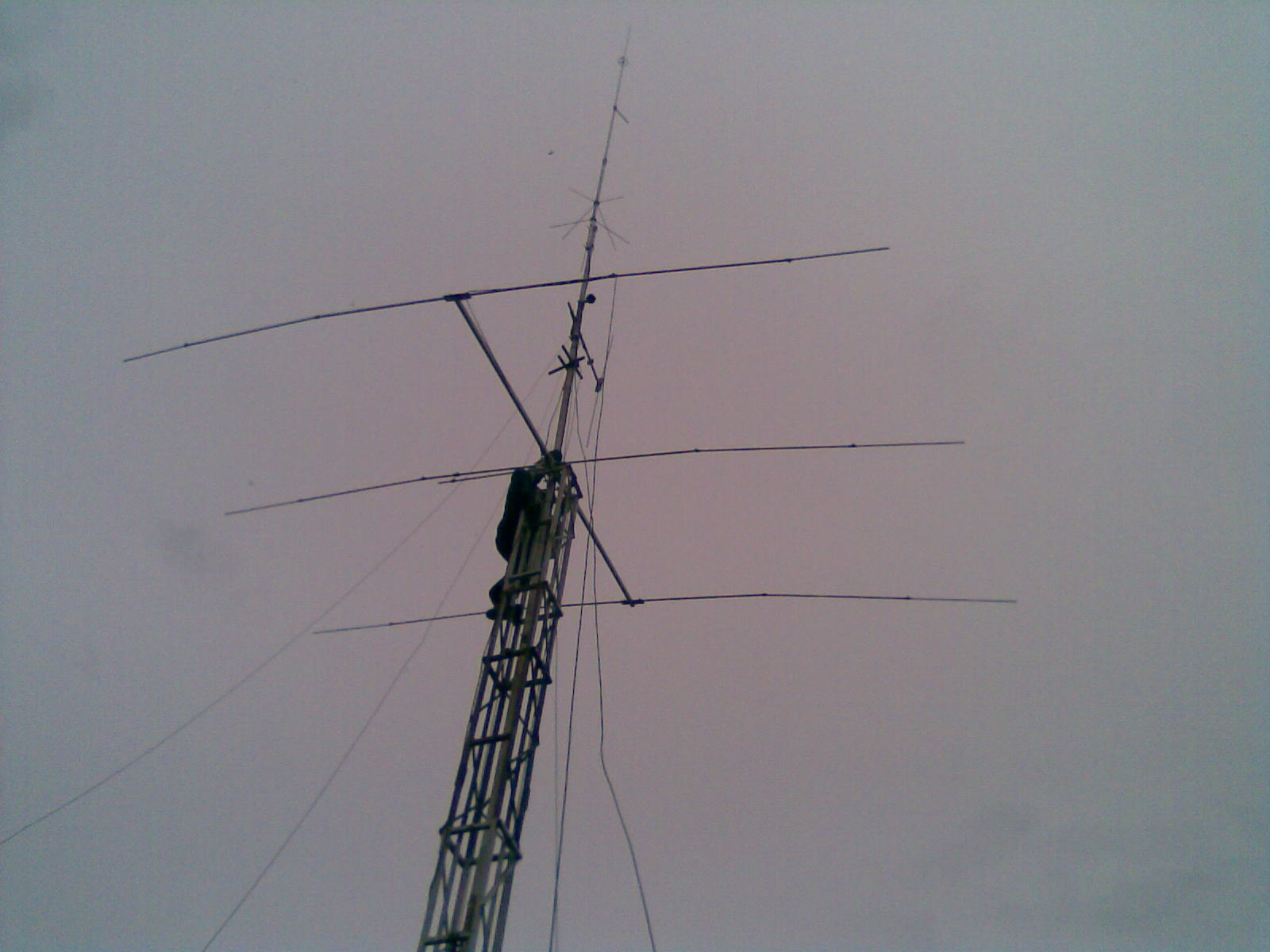 9M2MSO : 3 ELEMENTS YAGI (you can see and try to make it)