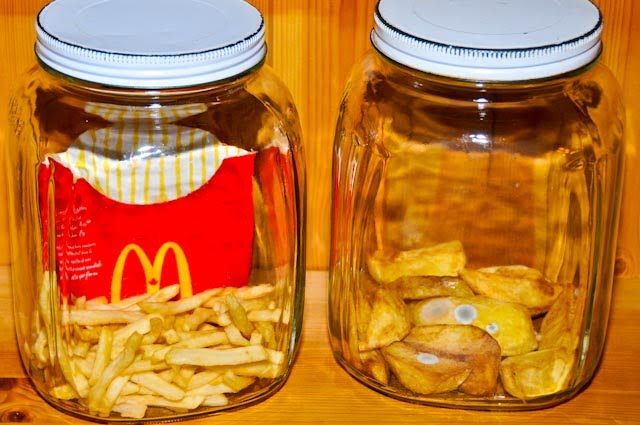 Henri's Adventure: French Fries Science Experiment