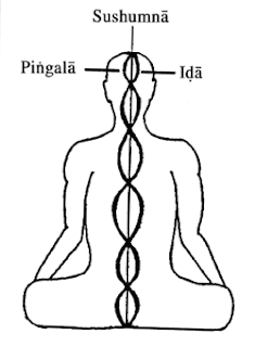 From The Belly Of The Whale: Eden