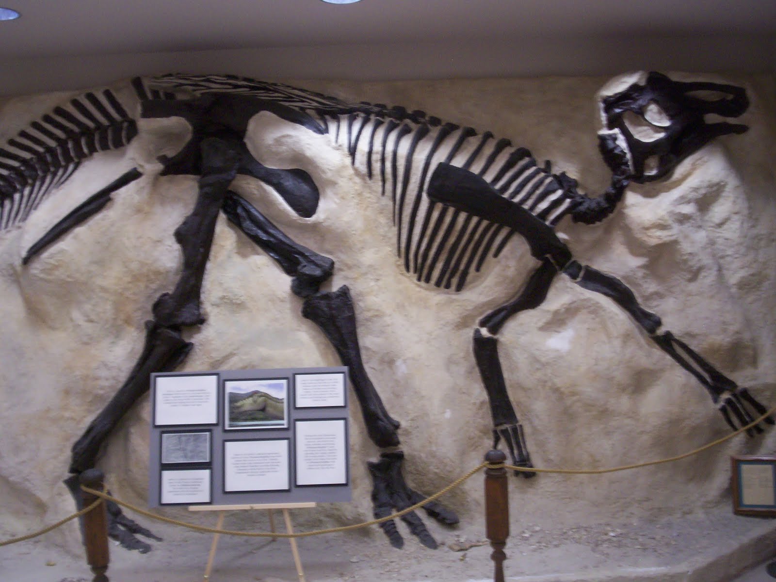 Tripping around Washington: Connor Museum - WSU