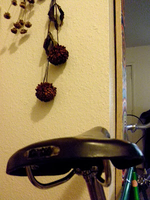 Evelesco: I can ride my bike with my 5 inch clogs...