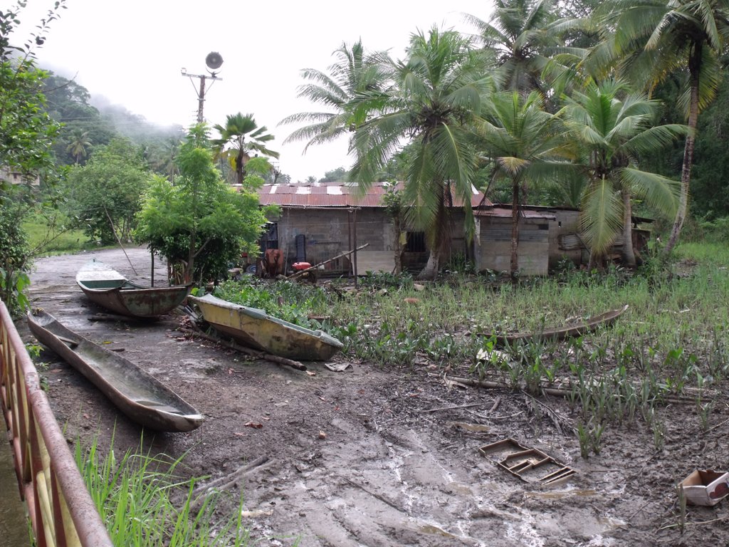 OVERLANDING VENEZUELA: GUANOCO Lago de Asfalto