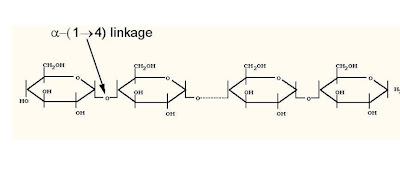BIOCHEMISTRY LECTURE NOTES: STARCH AND STARCH TECHNOLOGY.