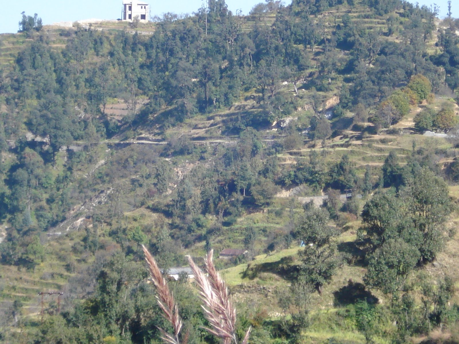 Binsar: Binsar Weather